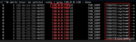 应急响应——linux入侵排查linux 服务器有奇怪的ip访问进程 Csdn博客