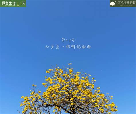 綠色生活21天 向身邊一棵樹說謝謝 你的好閨蜜 蔡雅藍醫師｜恆悅美學牙醫