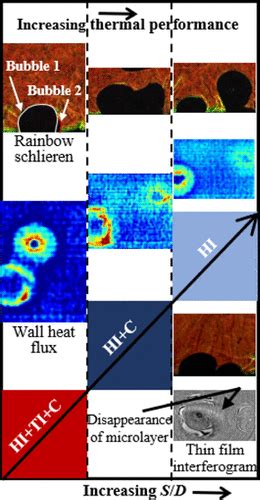 On The Coupled Thermal And Hydrodynamic Interaction Of Adjacently Located Vapor Bubbles On
