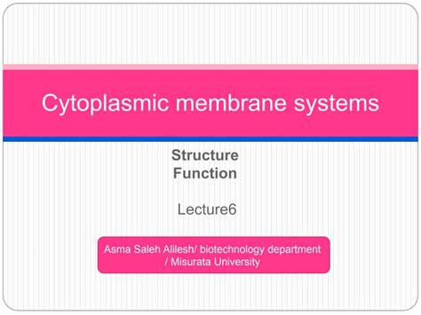 Endoplasmic System Structure And Function Pptx