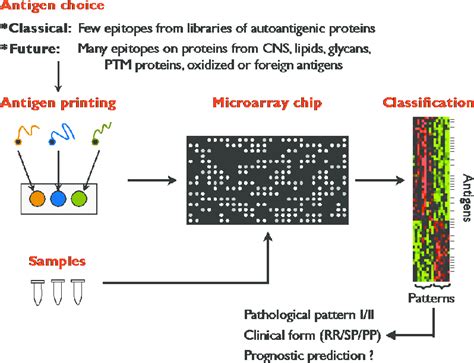 Overview Of Antigen Microarray Principles Interesting Antigens Are