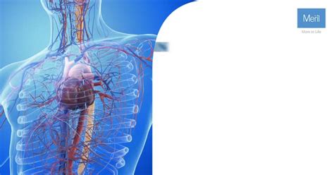 Meril On Linkedin Meril Moretolife Innovations Cardiovascular