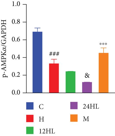 Effects Of Melatonin On Ampk Signaling Pathway Related Mrna And Protein