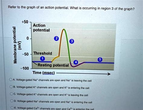 Solved Refer To The Graph Of A Action Potential What Is Occurring In
