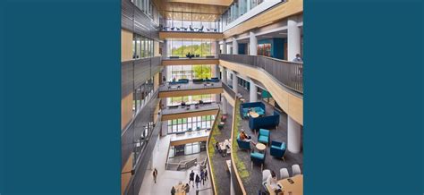 Hub Of Collaboration Learning Creativity And Groundbreaking