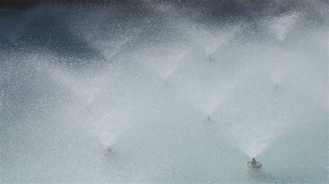 무료 이미지 물 집 밖의 웨이브 젖은 여름 얼음 튀김 스프레이 공원 날씨 뒤뜰 원예 체계 눈보라 살수 동결 관개 스프링클러 대기 현상