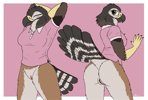 Rule 34 Accipitrid Accipitriform Anthro Anus Ass Avian Bird