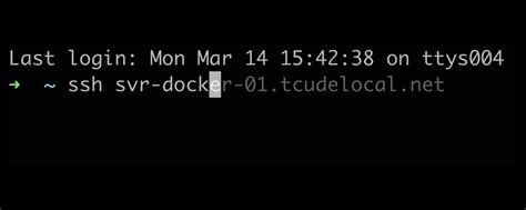 Zsh Autocompletion Flaviu Vlaicu