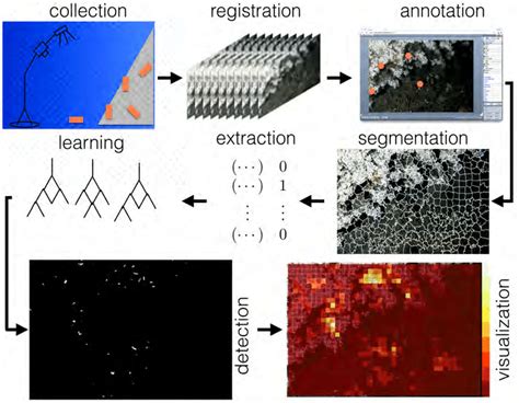the computational shrimp detection and shrimp location analysis
