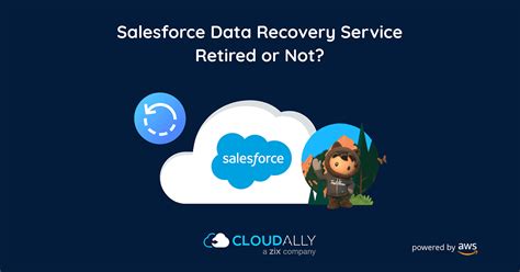 Pros And Cons Of Salesforce Data Recovery Service Cloudally