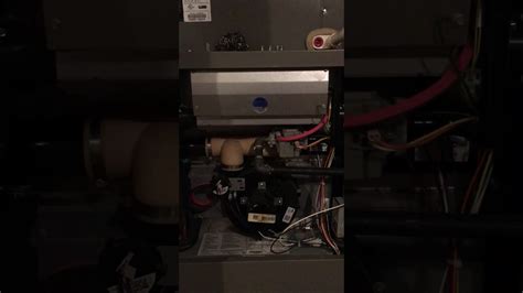 Flame Sensor On A Lennox G UF Series YouTube