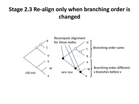 Ppt Practical Multiple Sequence Algorithms Powerpoint Presentation