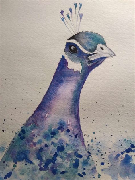 Peacock North Devon Arts