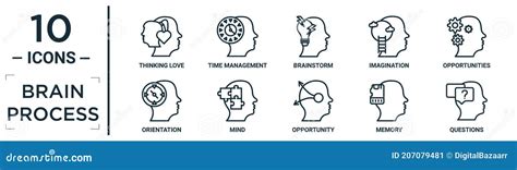 Linear Orientation Icon From Brain Process Outline Collection Thin Line Orientation Vector