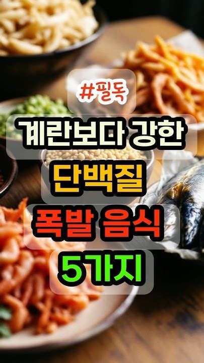 계란보다 강한 단백질 폭발 음식 5가지 고단백음식 단백질식단 근감소예방 시니어건강 근육관리 Youtube