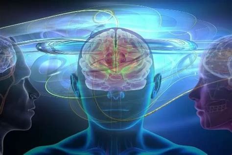 neocortex brain pada anak begini cara kerja dan kebutuhannya strategi