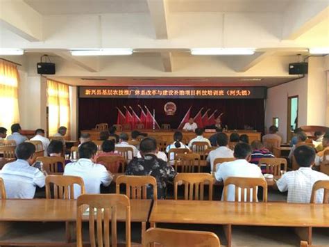 河头镇举办基层农技推广体系改革与建设补助项目科技培训班 新兴县河头镇 Info1158269