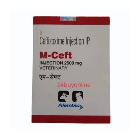 2500mg M Ceft Veterinary Ceftizoxime Injections Ip At Rs 570 Veterinary Injections In