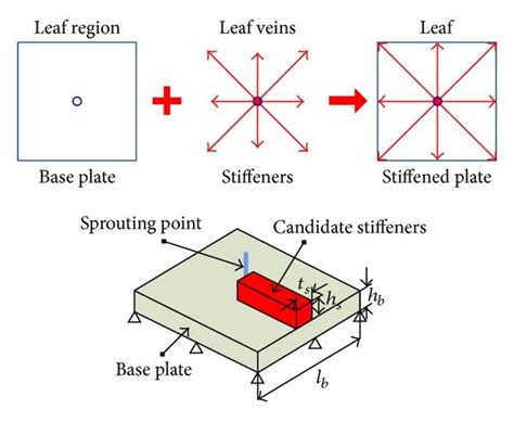 Geometrical Modeling Of Leaf Venation Download Scientific Diagram