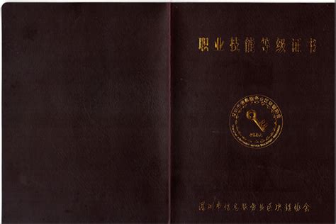 鼎链数科首批广东省持证区块链应用操作员来了 鼎链数科 新型密码技术助力数据要素安全流通