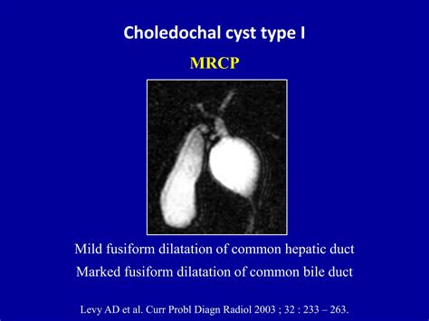 Cystic Liver Lesions An Ultrasound Perspective Ppt