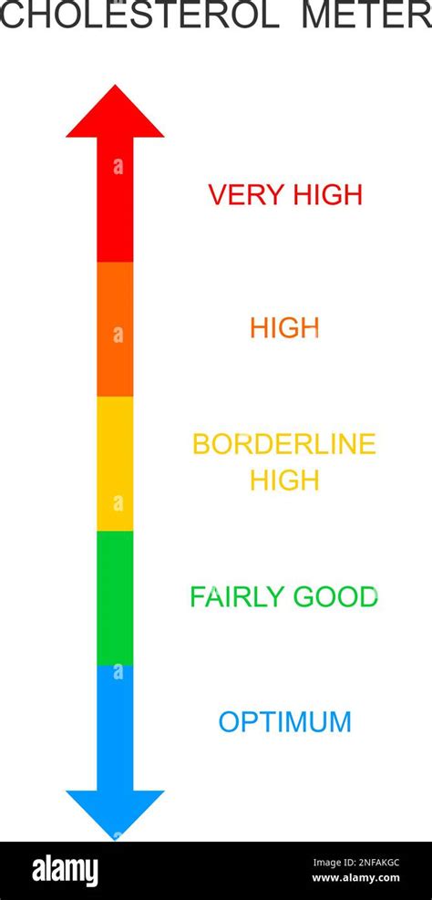 Cholesterol Meter Vertical Scale Atherosclerosis Hyperlipidemia