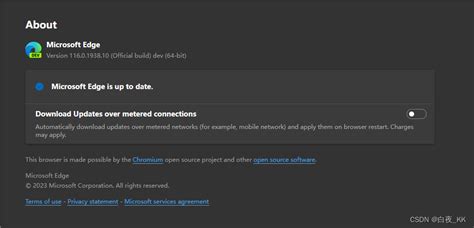 Windows Copilot 更新及使用教程vivetool 说明 Csdn博客