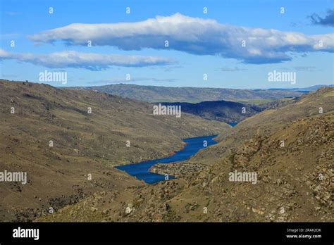 The Clutha River Winding Through The Stark Landscape Of Central Otago In The South Island Of New