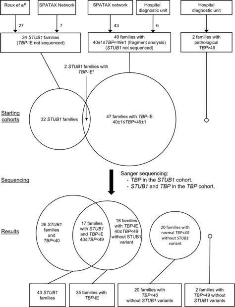 Intermediate Repeat Expansions Of Tbp And Stub1 Genetic Modifier Or Pure Digenic Inheritance In