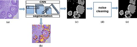 Segmentation process of the method İnik et al a The input Download Scientific Diagram