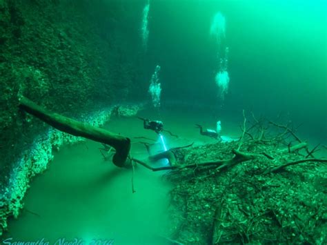 Cenote Angelita El Bosque Sumergido Entre 2 Ríos México Desconocido