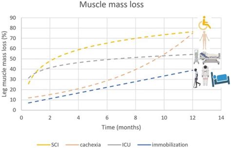 Full Article Strategies To Mitigate Muscle Mass Loss In Individuals