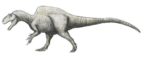 Becklespinax Pictures And Facts The Dinosaur Database