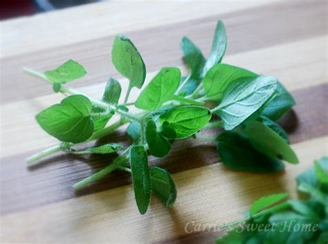 돼지갈비 바베큐