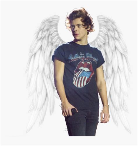Harry Styles Wearing Rolling Stones Shirt