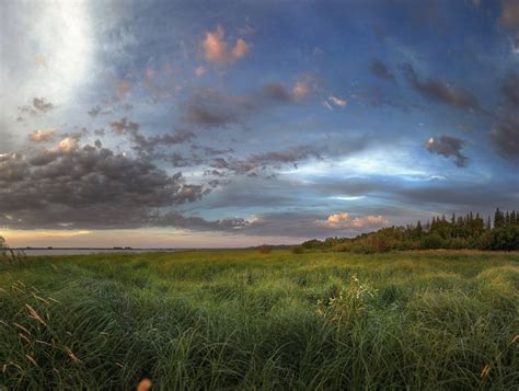 Marshland At Lois Hole Centennial Provincial Park Alberta OC