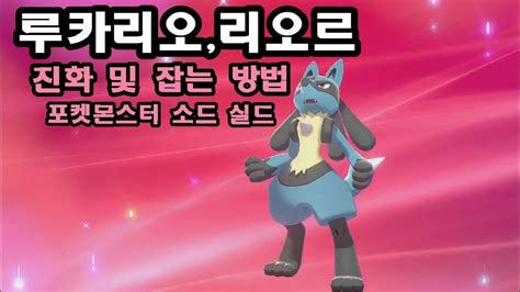 루카리오 리오르 잡는 방법 진화방법까지 포켓몬스터 소드 실드 닌텐도 신작 게임 네이버 Tv