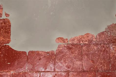 How To Use Self Leveling Concrete The Ultimate Guide