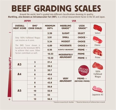 Usda Beef Grading Process