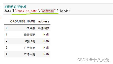 Python利用Pandas读取数据查询指定条件的数据以及数据的详细信息 pandas查看某一列的值及数量 CSDN博客