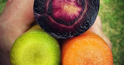 Carrots Imgur