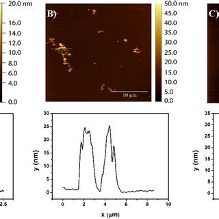 Tapping Mode AFM Topographic Image And The Corresponding Height