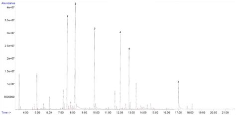 Total Ion Chromatogram Of GC MS Analysis Of The Essential Oil From Download Scientific Diagram