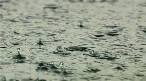 Един загинал и стотици блокирани в метрото в Ню Йорк Проливни дъждове връхлетяха САЩ Новини бг