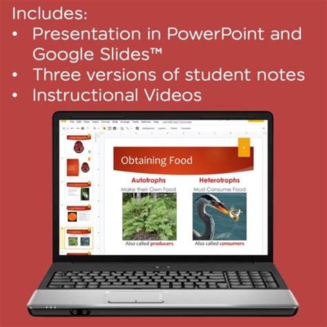 Cellular Respiration Powerpoint Notes And Videos Science Island