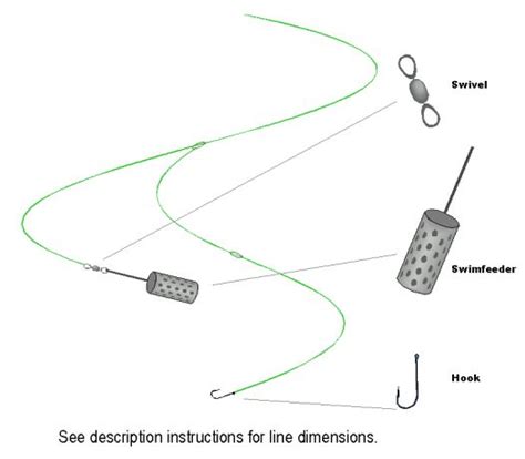Swim Feeder Rig