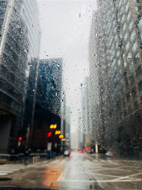 Sally Nabil On Linkedin Chicago