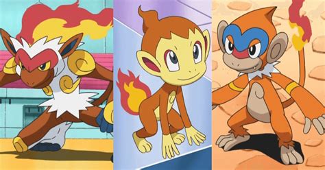 Fire Monkey Pokemon Chimchar Evolution Moves And More