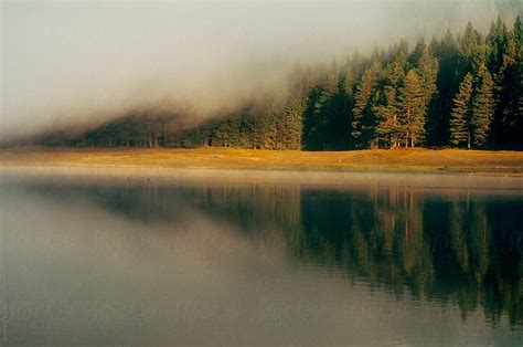 Morning On The Lake By Stocksy Contributor Dimitrije Tanaskovic
