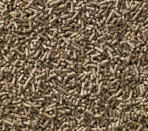 Camel Feed Camel Race Feed Exporter From Jamnagar